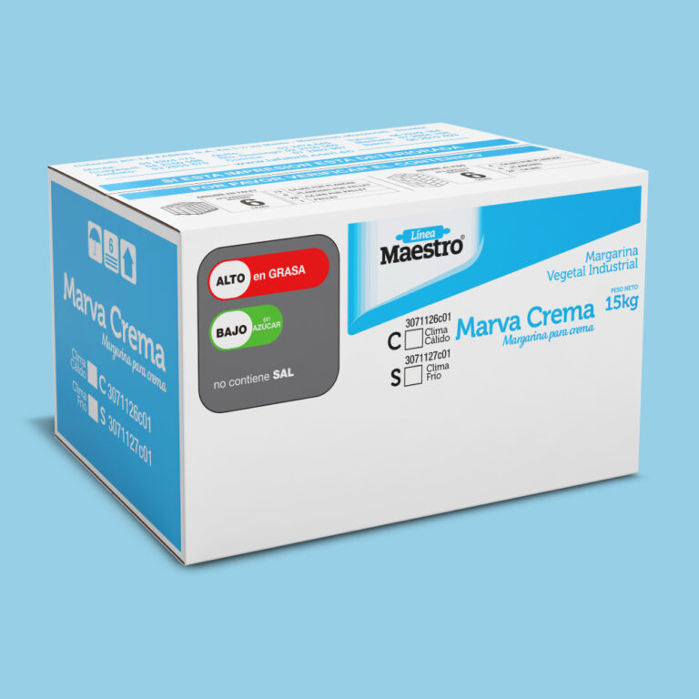 Inicio - Linea Maestro